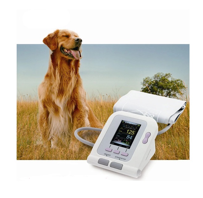 Blood Pressure Meter 08A Veterinary – Medicalequip
